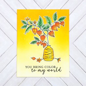 You Bring Color To My World – SkyPaperScissors