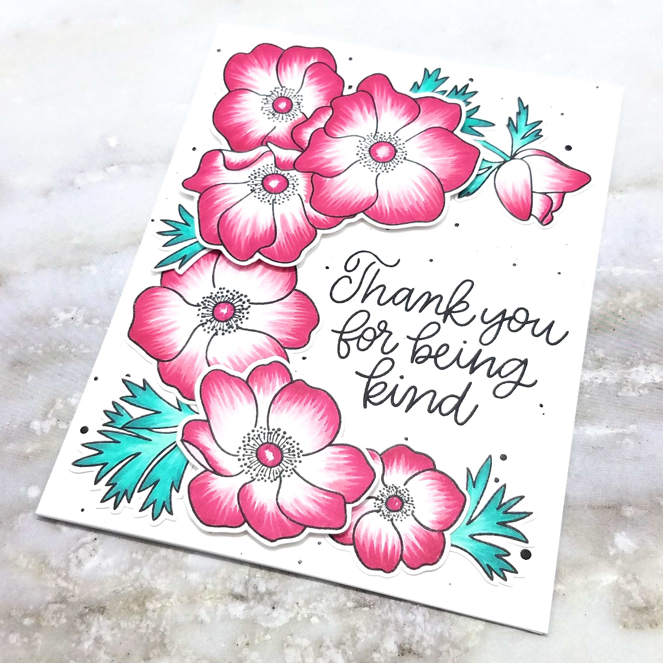 Thank You For Being Kind – SkyPaperScissors